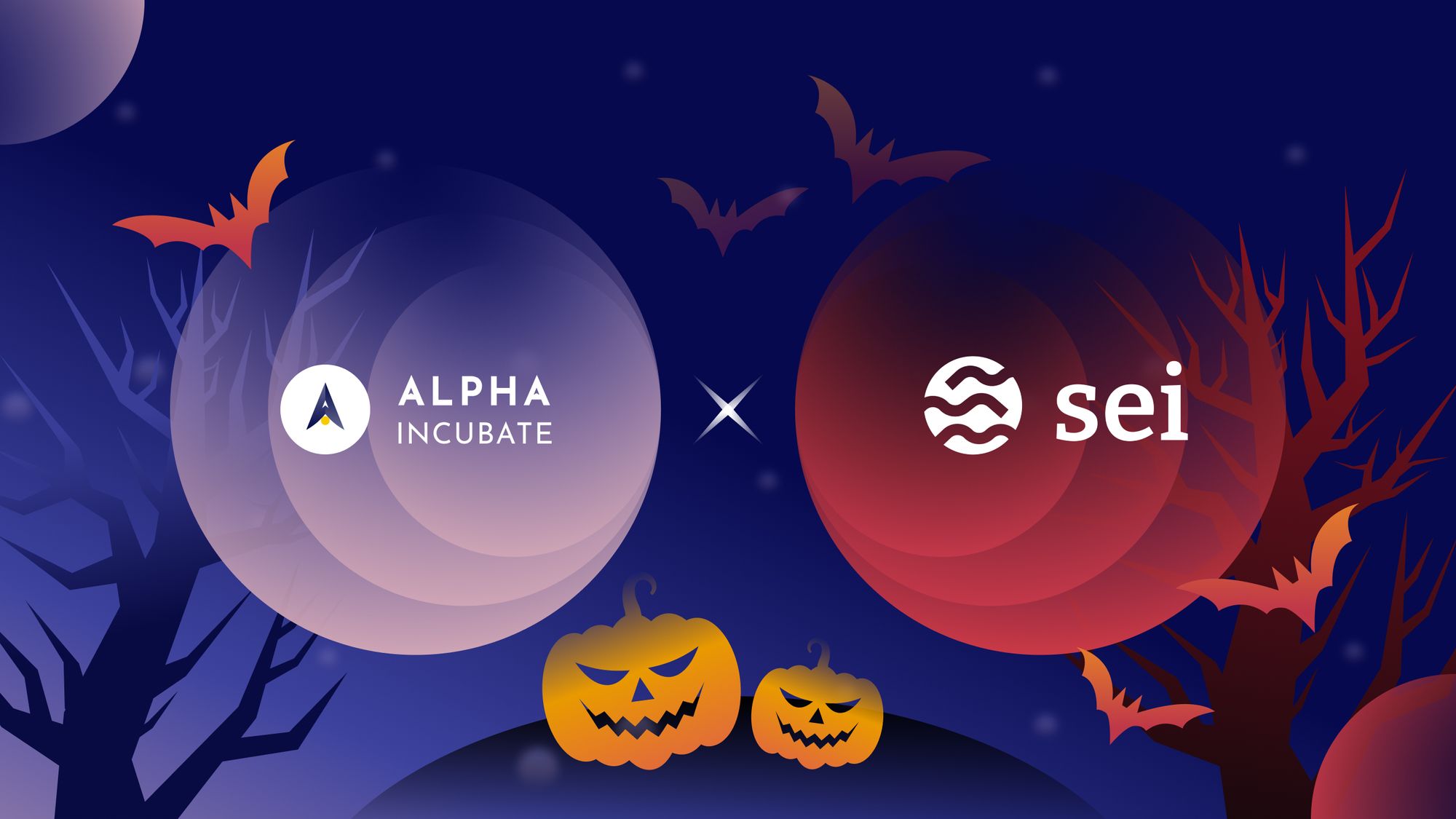 Alpha Venture DAO x Sei Bringing a Bespoke Experience to DeFi Builders